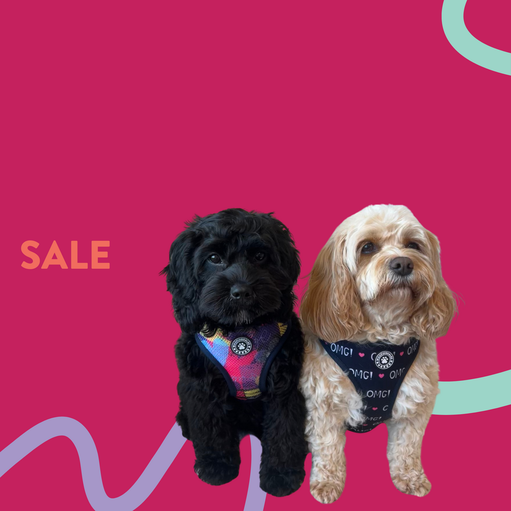 A premium dog accessory brand – Woofingdales.co.uk